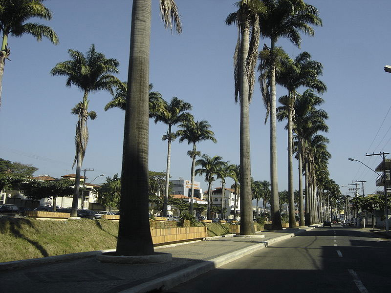 Fotos de Uba MG - Ache Tudo e Regi o
